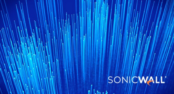 SonicWall’s Michele Campbell, Dawn Ringstaff Named to CRN’s 2018 Women ...