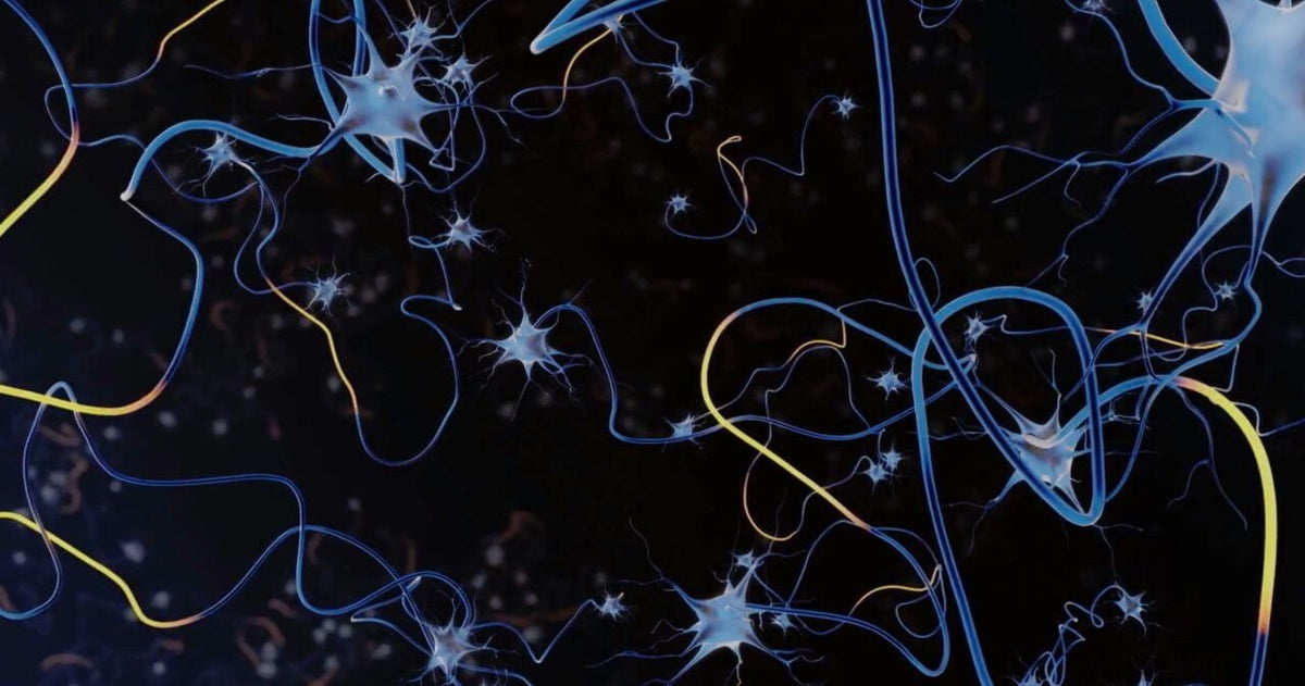 Sophos Advances Endpoint Detection and Response (EDR) — The Tech Geeks ...